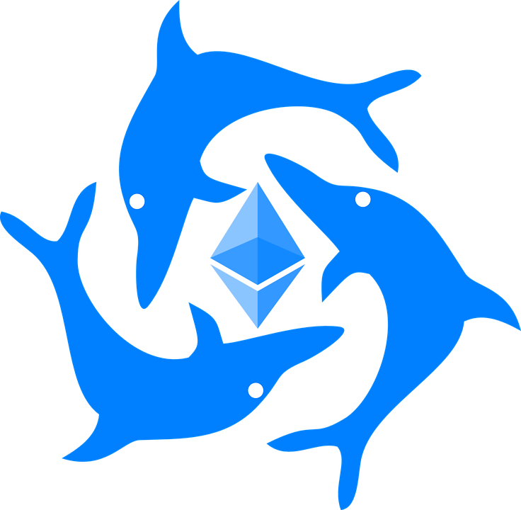 Bitcoin Price Flips Downward After Almost Reaching $3,000 – Bitcoin News