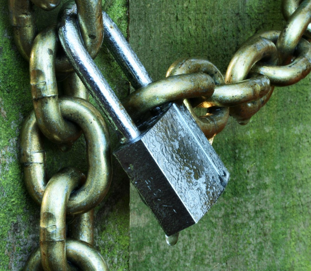 Bitcoin for Beginners: How to Safeguard Your Cryptocurrency Holdings ...
