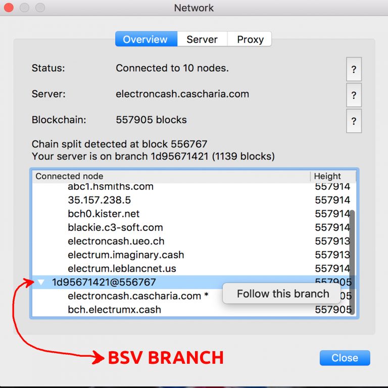 Follow This Branch: A Guide to Splitting BCH and BSV – Bitcoin News