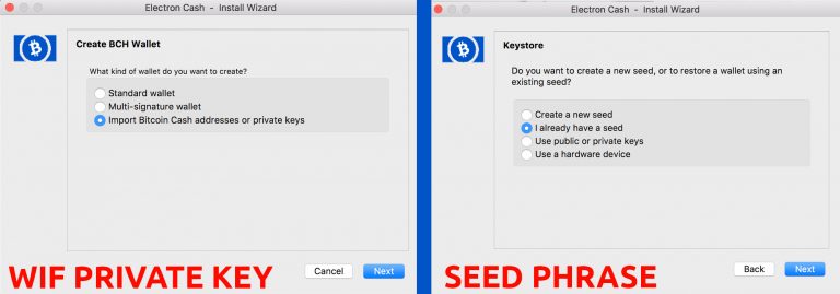 Follow This Branch: A Guide to Splitting BCH and BSV – Bitcoin News