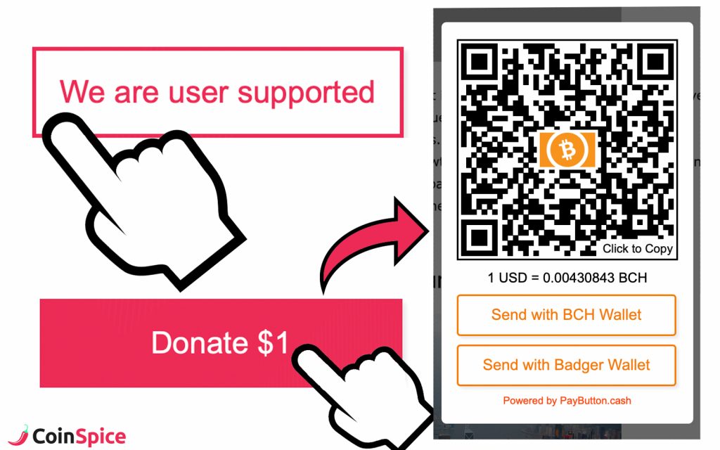 4 Noncustodial Bitcoin Cash-Powered Payment Button Generators ...