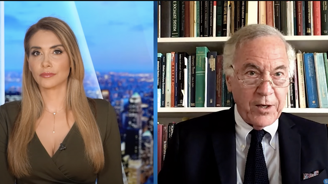 Economist Steve Hanke Warns of an 'Ugly' Recession Looming and Accuses ...