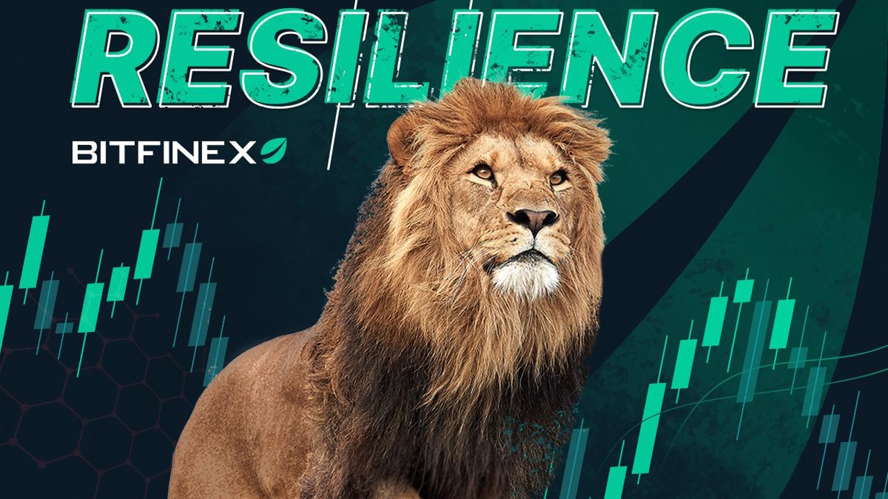 Bitfinex's Resilience: Tracing its Transformation Throughout Crypto History – Sponsored Bitcoin News