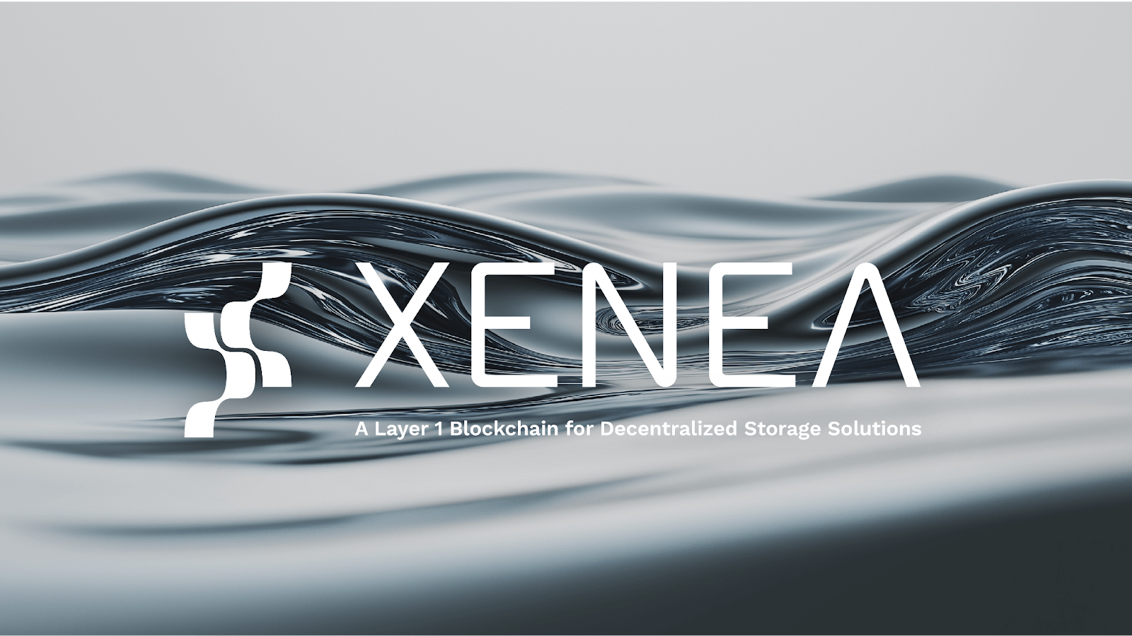 Xenea Unveils Revolutionary Layer 1 Blockchain for Secure, Decentralized Data Storage – Standard ...