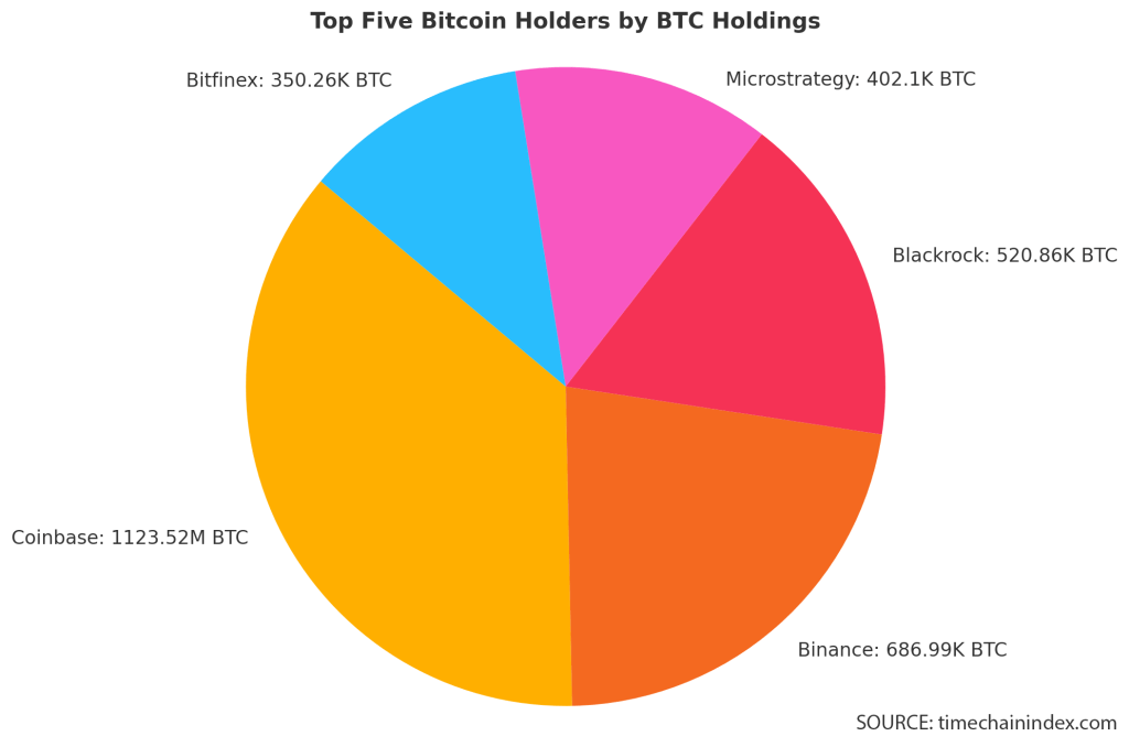 Meet Bitcoin’s Biggest Players: The Top 10 Holders Commanding Nearly 15 ...