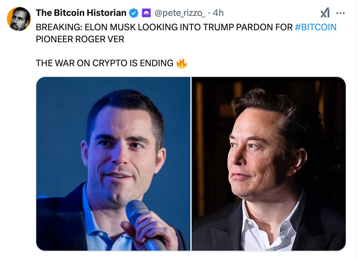After Ulbricht’s Pardon, Will Roger Ver Be Next? Elon Musk Weighs In ...