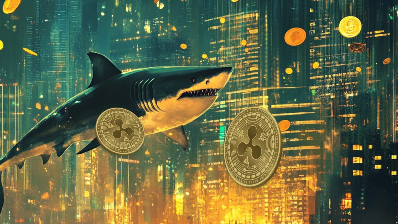 Remittix: Veja Por Que Analistas Estão Chamando a Estrela PayFi RTX de 'Próximo XRP' - Bitcoin News