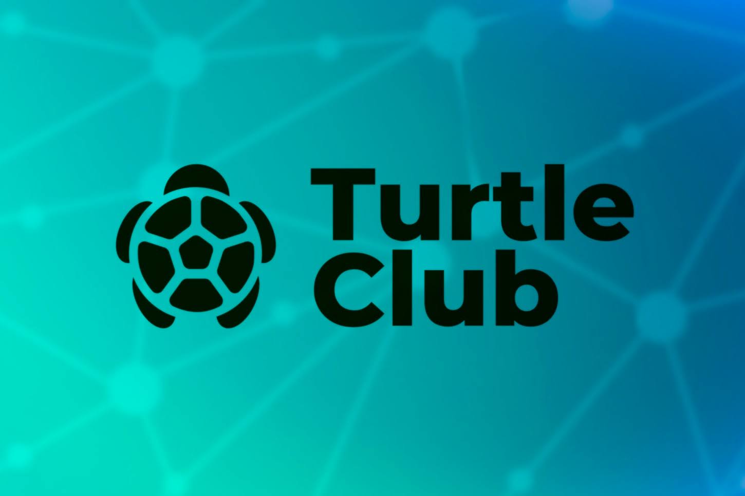 Turtle Club Raises $6.2M to Advance Onchain Liquidity Distribution ...