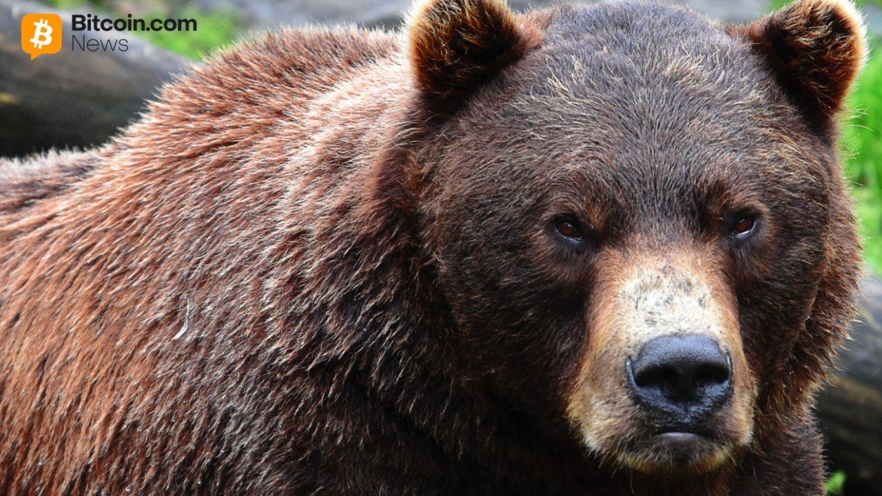 XRP Technical Outlook Flips Bearish as Psychological Support at $2.00 ...